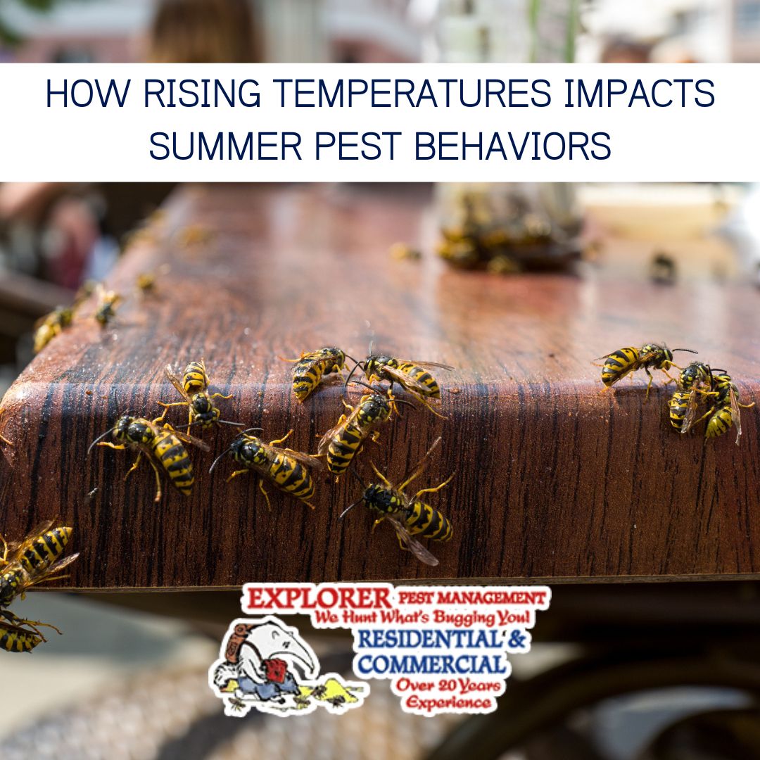 Navigating the Impact of Heat on Pest Activity